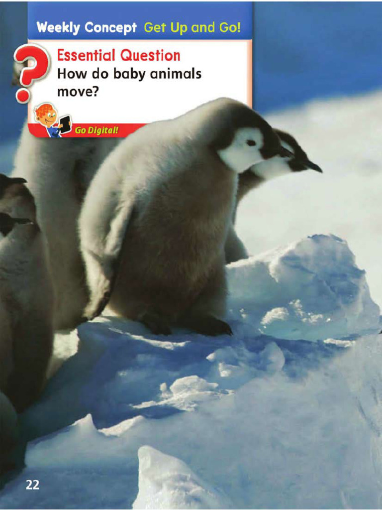 Unit 1 Week 2 Part 1+part 2 | PDF