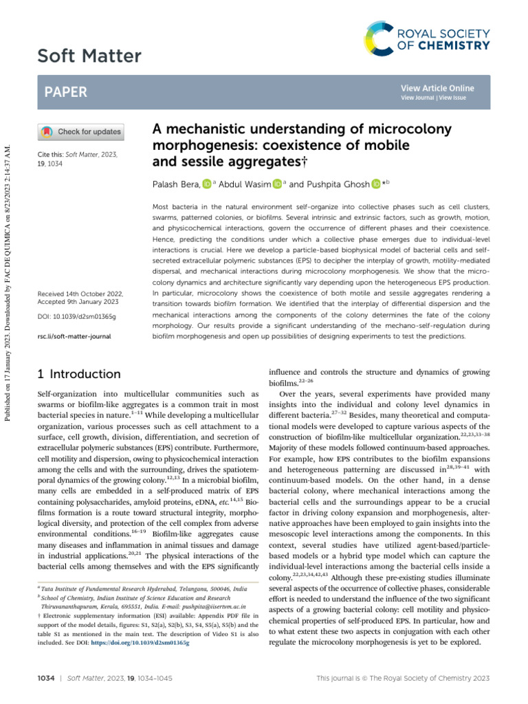 A Mechanistic Understanding of Microcolony | PDF | Biofilm | Biology