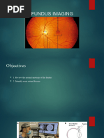 Fundoscopy Basics for Medical Students | PDF | Retina | Human Eye