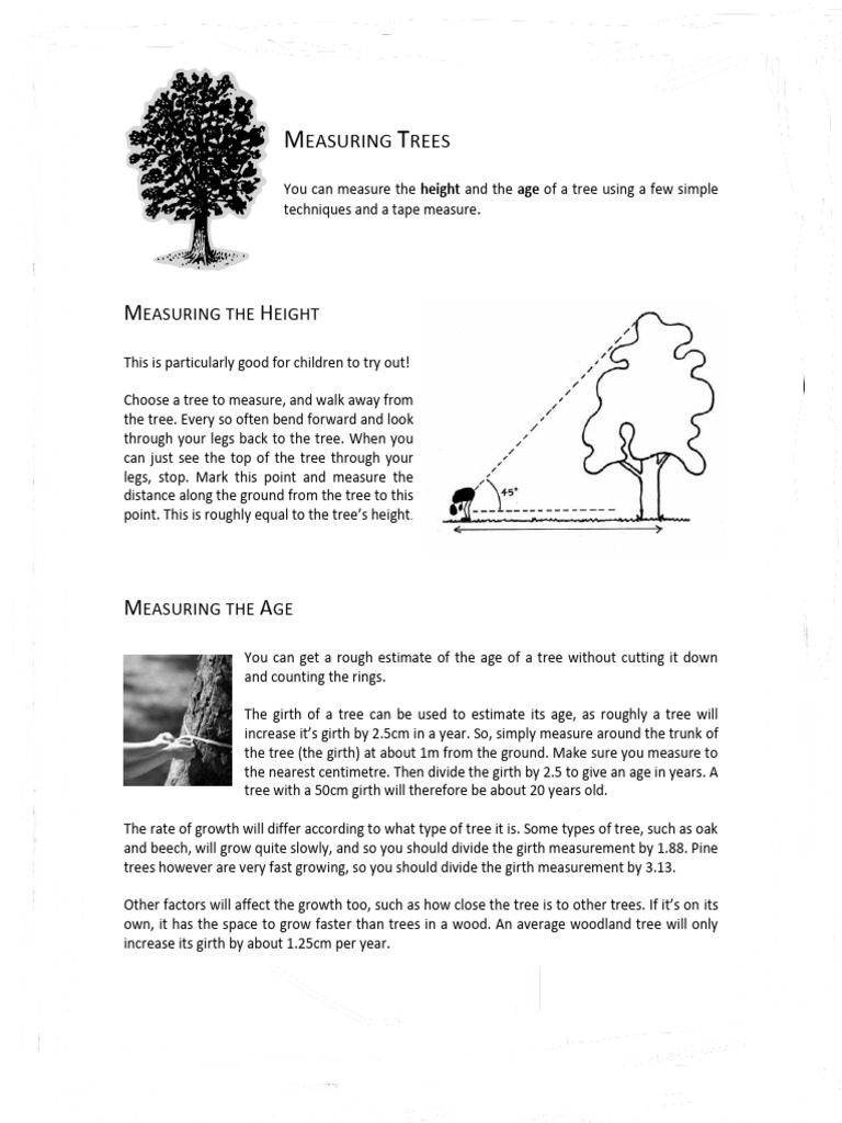 Measuring-Trees | PDF