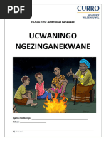 GRD 7 Isizulu Lesson Plan | PDF | Lesson Plan | Learning