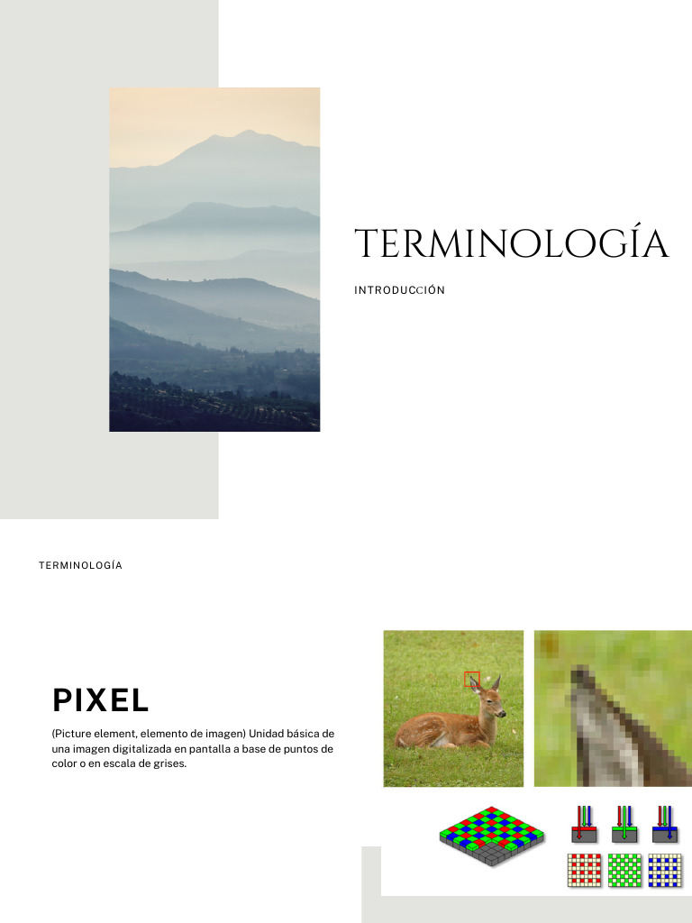 Terminologia | PDF | Dispositivo de carga acoplada | Píxel