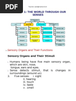 Science Form 3 KSSM Chapter 1 | PDF | Eye | Stimulus (Physiology)