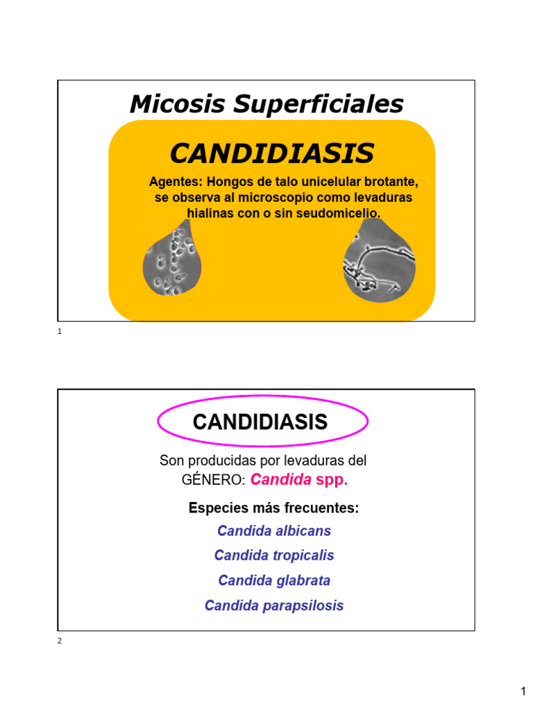 Candidiasis: Factores y Patogenicidad | PDF | Candidiasis | Candida (hongo)