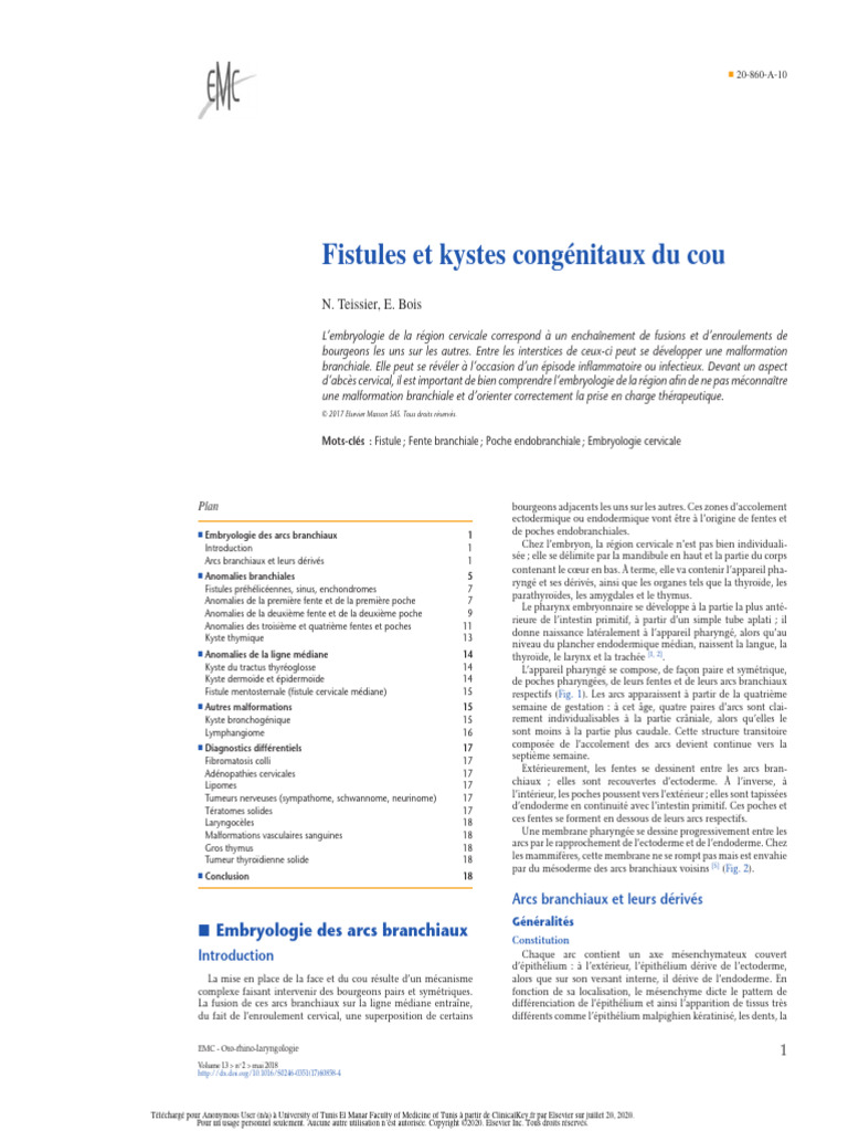 Fistules et kystes congénitaux du cou | PDF | Anatomie | Anatomie humaine
