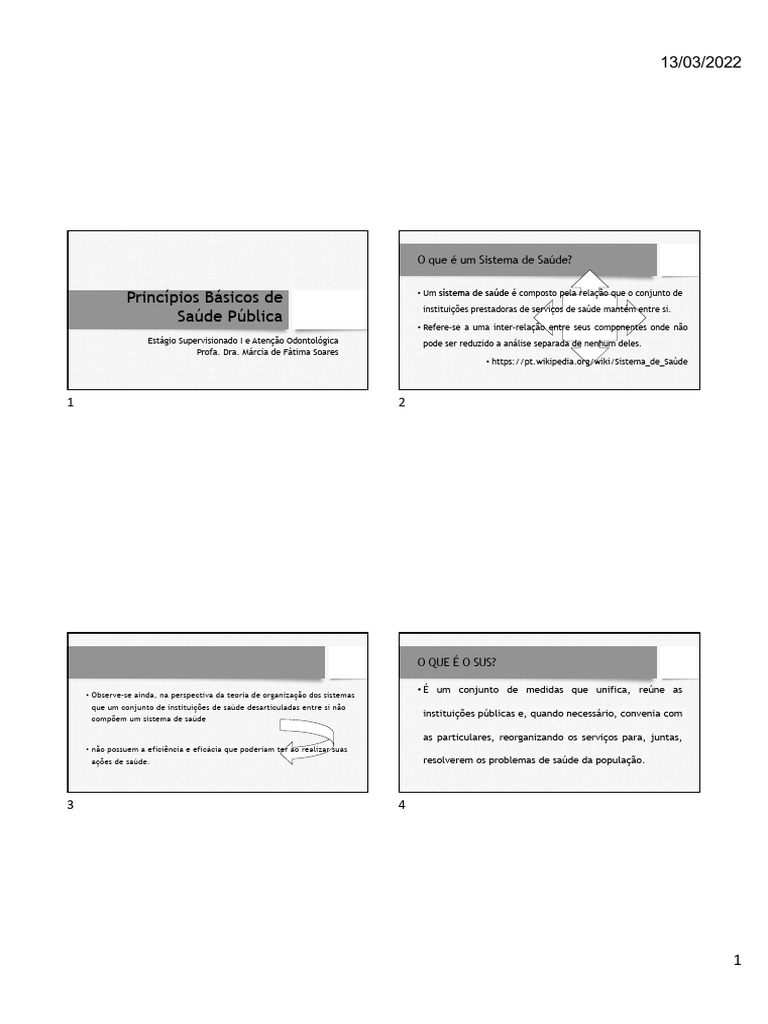 Princípios Básicos de SP ESI 2022 | PDF | Sistema de saúde