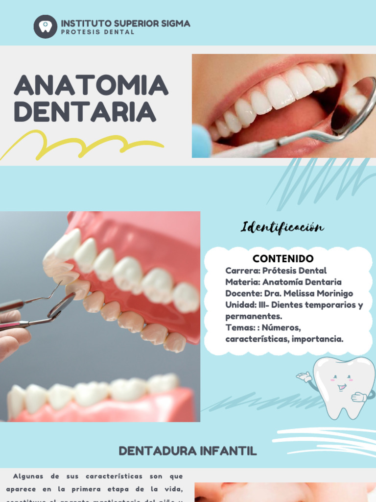 Dientes Temp y Permanentes-Anatomia Dentaria Unidad 3 | PDF | Diente ...