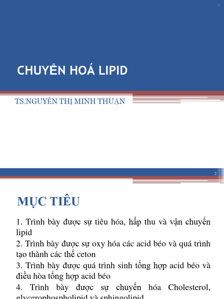 Chuyển Hóa Lipid | PDF