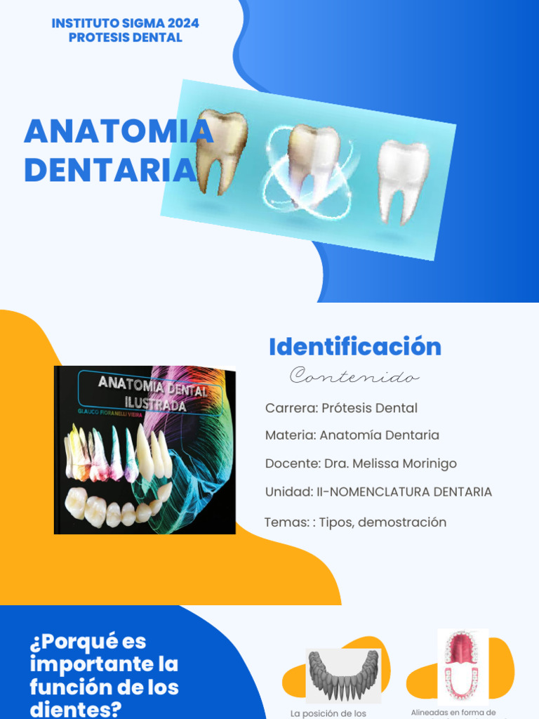 nomenclatura | PDF | Diente | Odontología