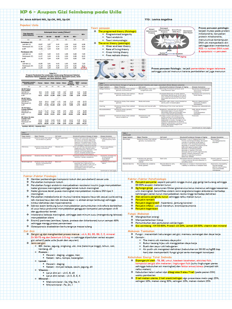 KP 6 Dr Ance - Asupan Gizi Seimbang Pada Usila | PDF