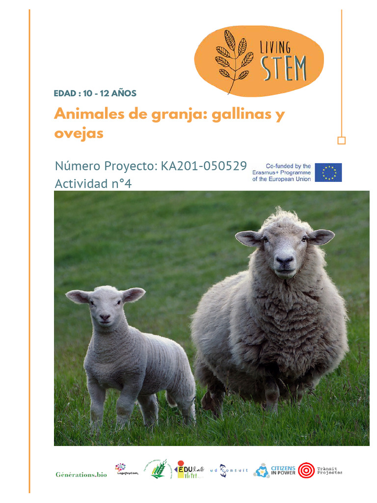 Animales de Granja Gallinas y Ovejas | PDF | Permacultura | Oveja