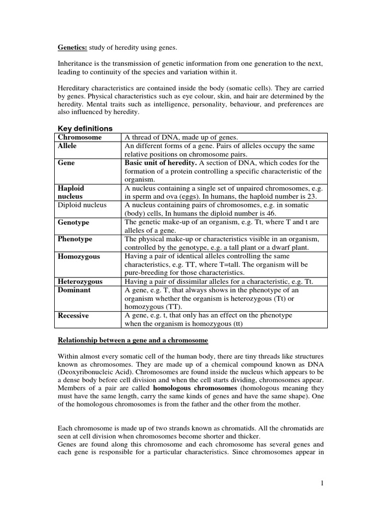 Inheritance Pdf Meiosis Dominance Genetics