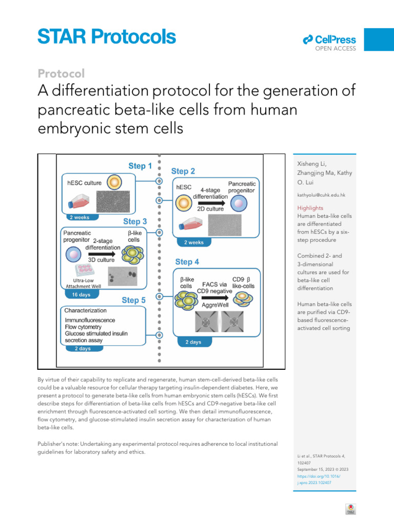 A Differentiation Protocol For The Generation of P | PDF | Embryonic ...