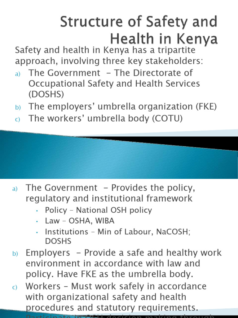 DOSHS Functions in Kenya's OSH Framework | PDF | Occupational Safety ...