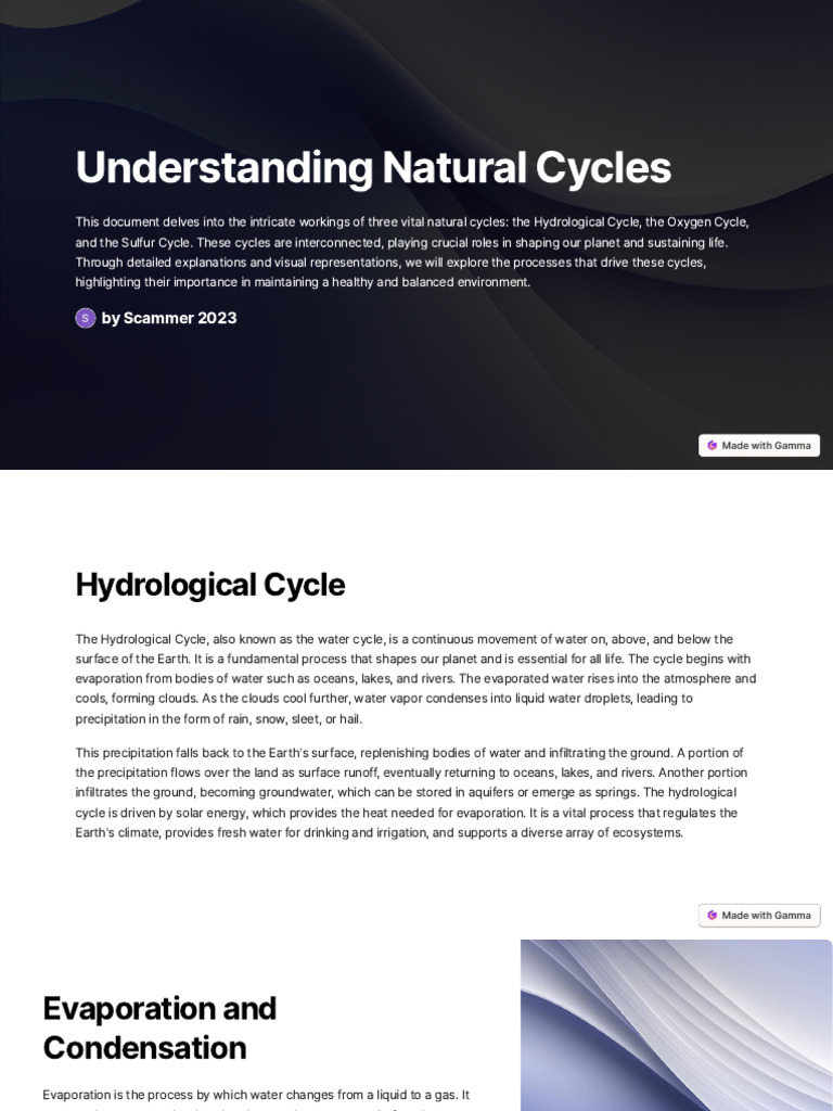 Understanding Natural Cycles | PDF | Photosynthesis | Water Cycle
