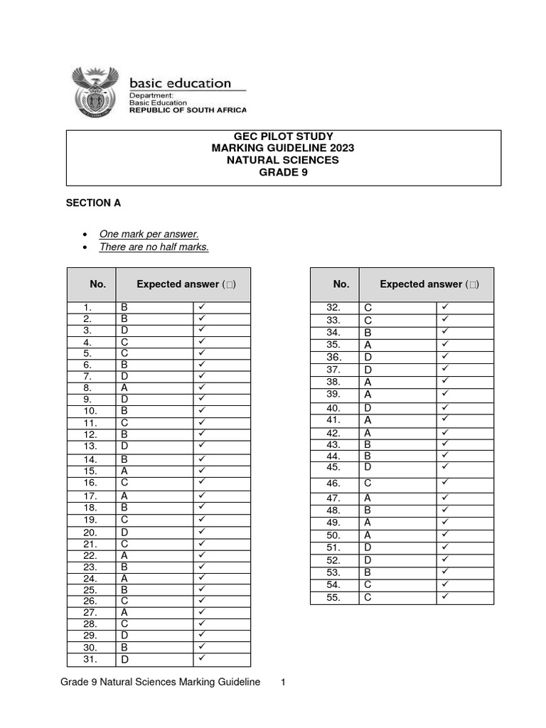 Grade 9 Natural Sciences Marking Guide | PDF | Water Vapor | Water