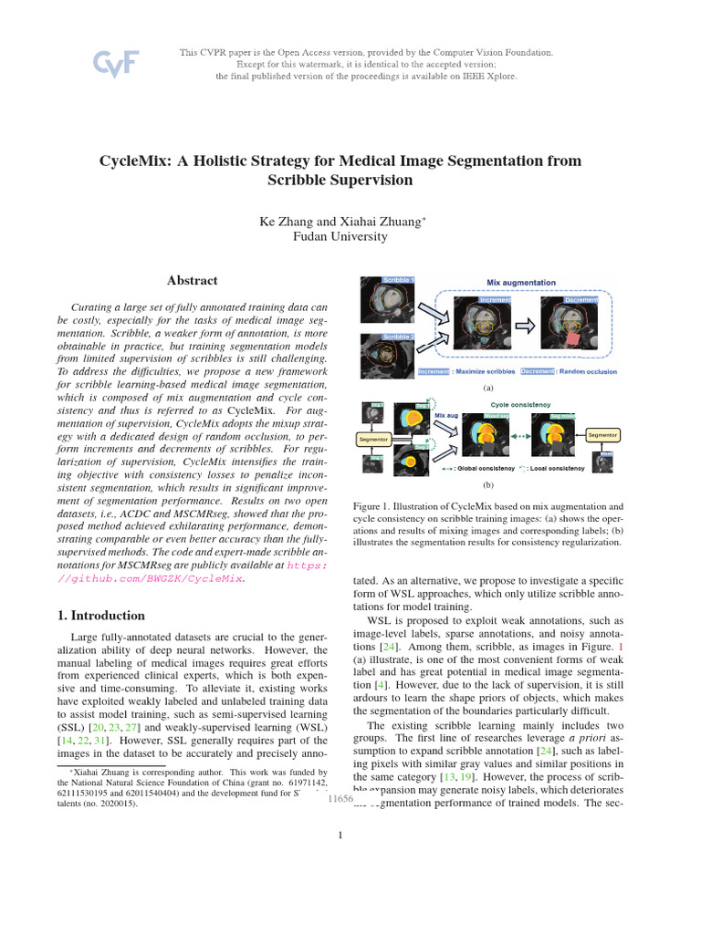 CycleMix: Scribble-Based Medical Segmentation | PDF | Image ...