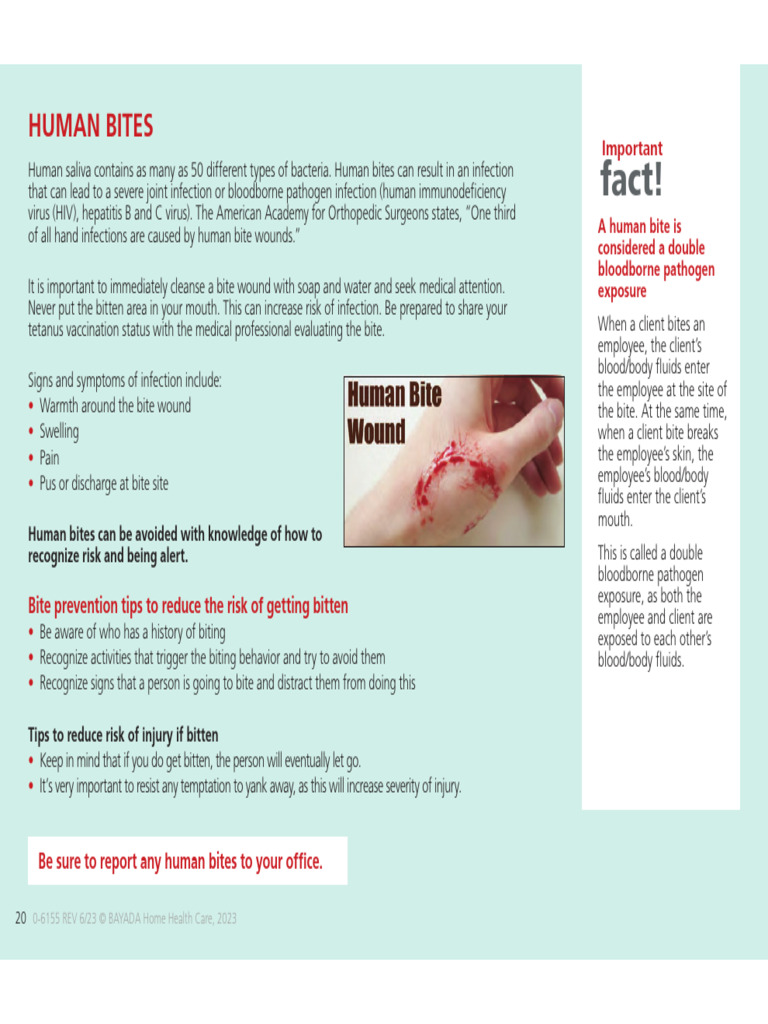Human Bite Risks and Prevention Tips | PDF | Infection | Microbiology