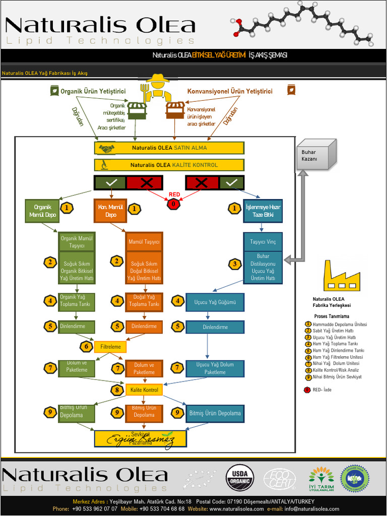 Naturalis OLEA Bitkisel Yag Is Akis | PDF
