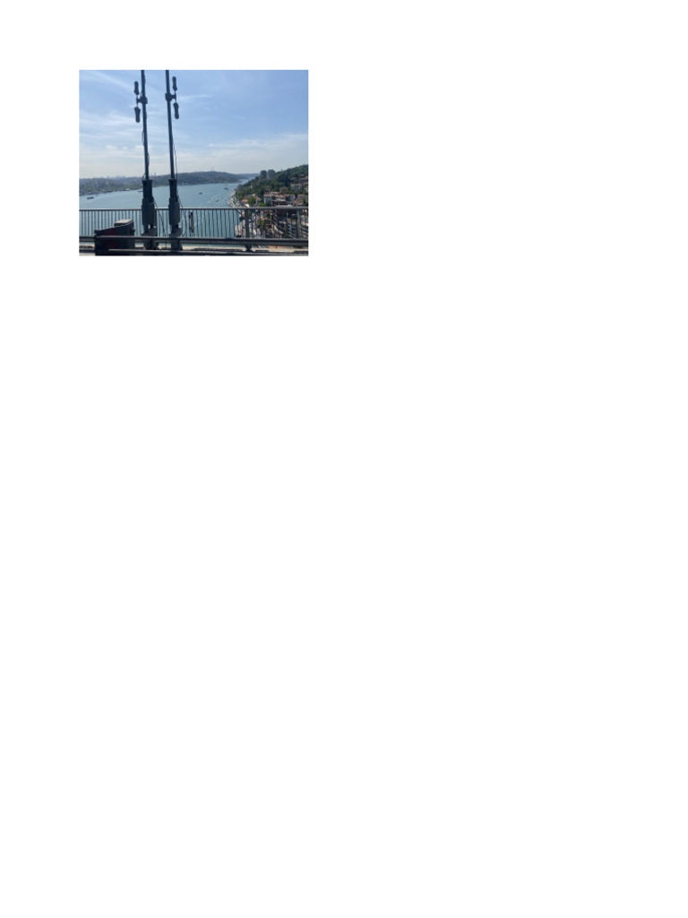 Alınmış Dosya (3) | PDF