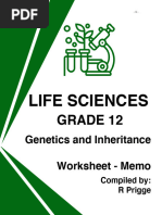 Grade 12 Functions and Inverses Solutions | PDF | Mathematical Objects ...