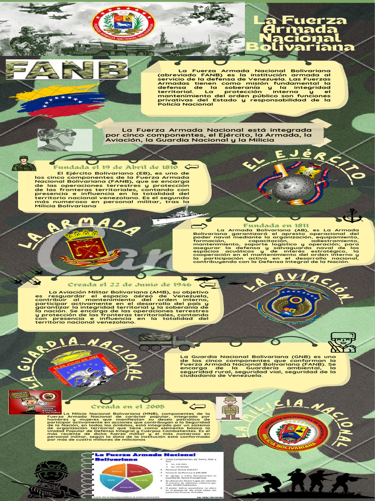 Infografía FANB Zadcha Tavares 4to Año Rómulo Gallegos Nov 2023 | PDF ...