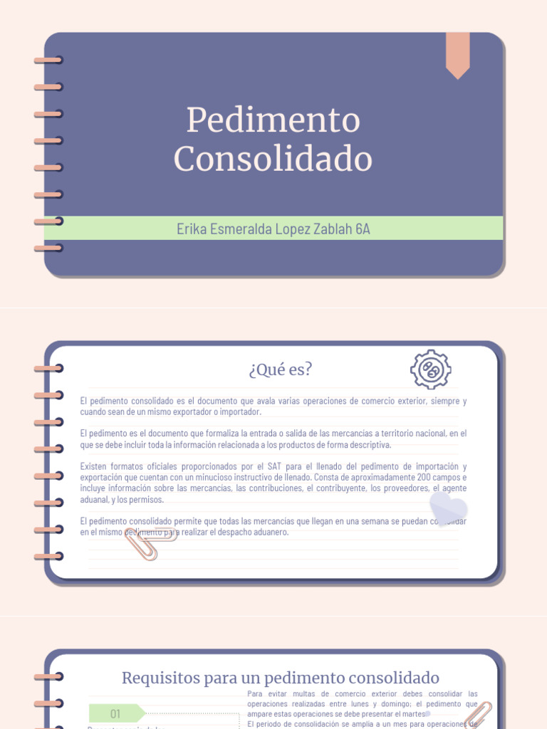 Pedimento consolidado | PDF