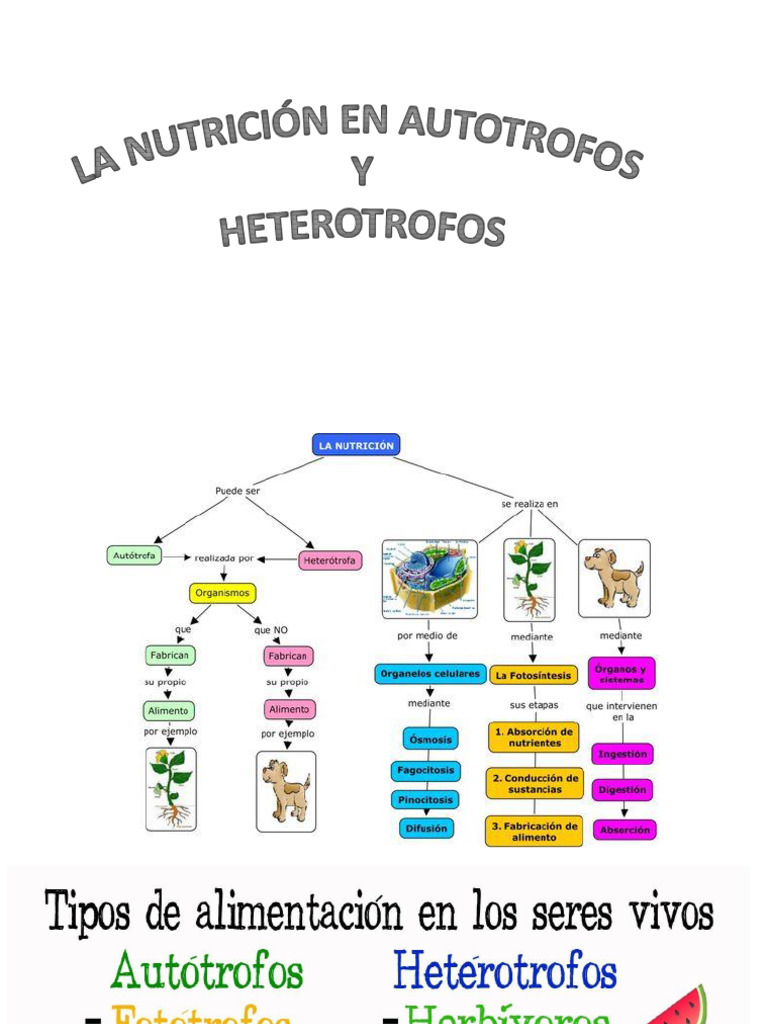 Nutricion_en_seres_vivos | PDF Nutricion_en_seres_vivos | PDF
