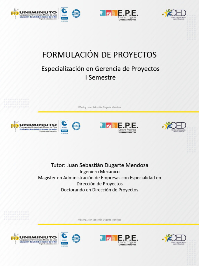 Formulación de Proyectos | PDF | Marketing | Planificación