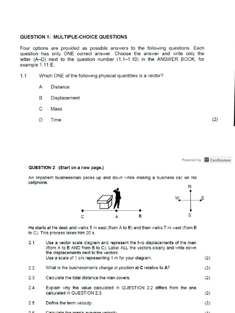 Grade 10 Vectors Questions | PDF