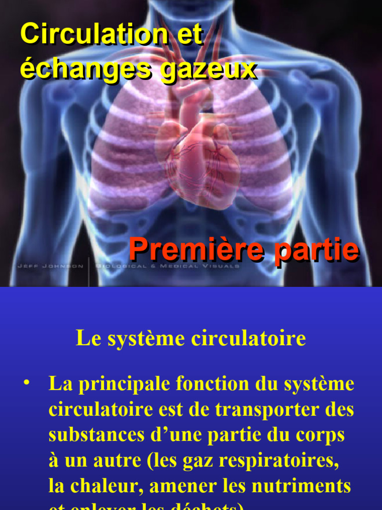 Système Circulatoire Réviser Mai 2009 | PDF | Cœur | Sang