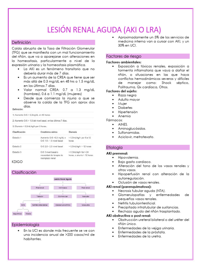 Lesión Renal Aguda (Aki O Lra) : Definición Factores de Riesgo | PDF | Riñón | Insuficiencia ...