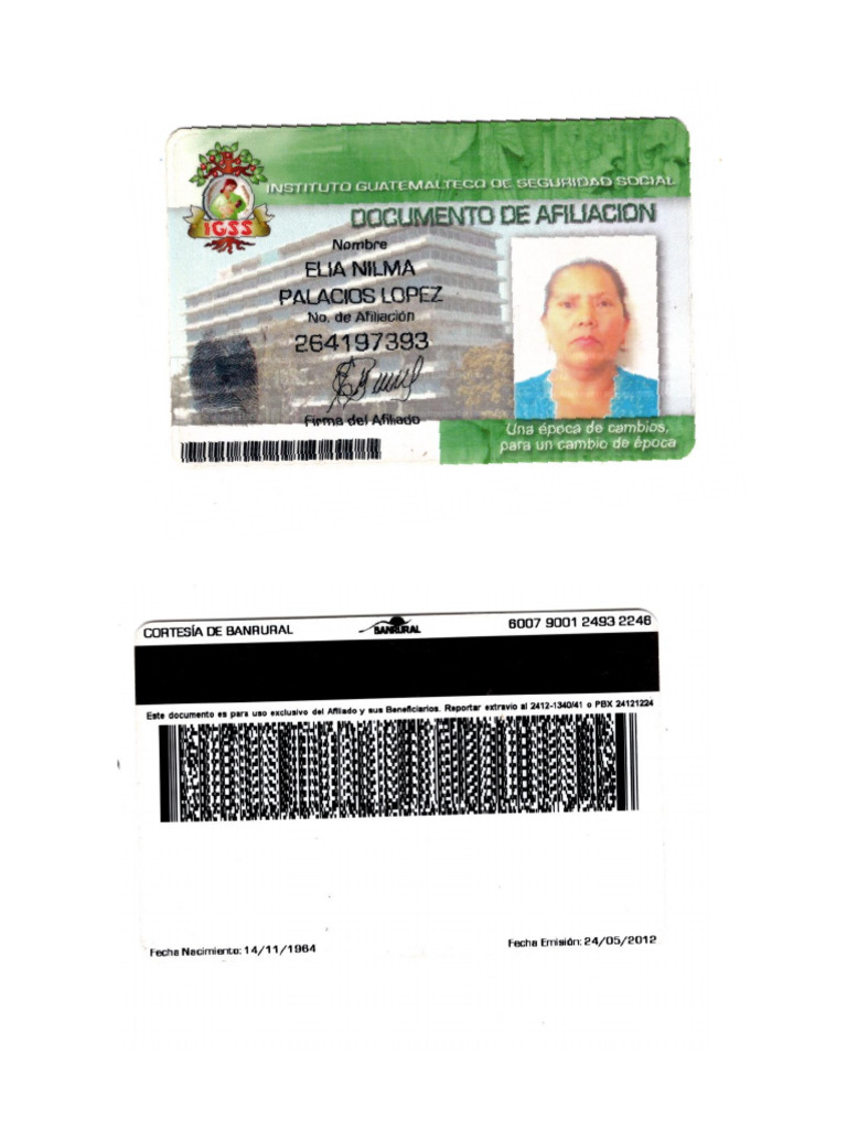 CARNET Iggs | PDF