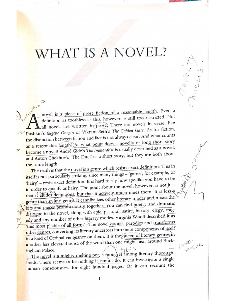 Terry Eagleton What Is A Novel | PDF