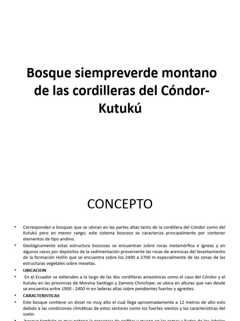 Bosque Siempreverde Montano de Las Cordilleras Del Cóndor-Kutukú | PDF