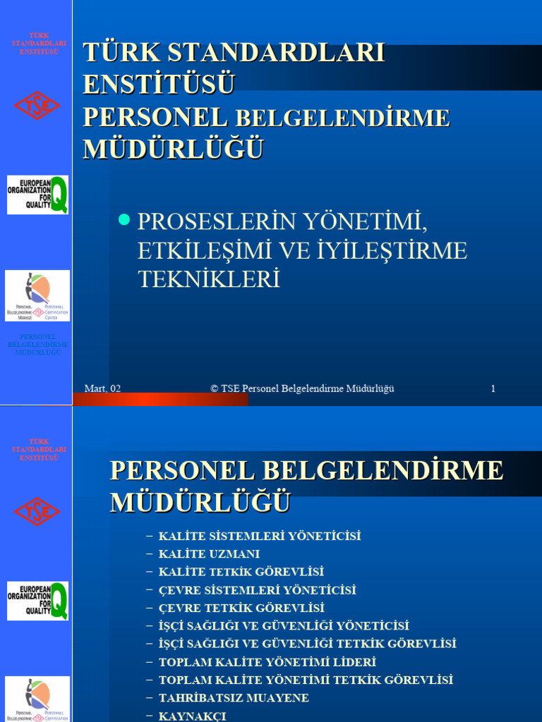 TSE PBM - Proses Sunum2 | PDF