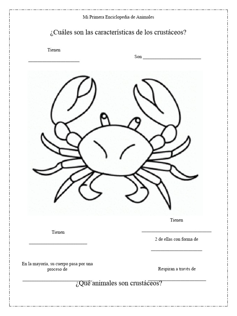 Crustáceos: Características y Ejemplos | PDF