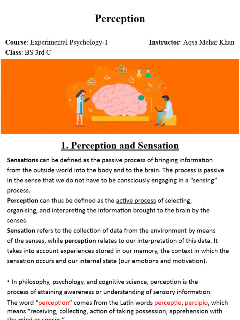 Perception | PDF | Perception | Circadian Rhythm