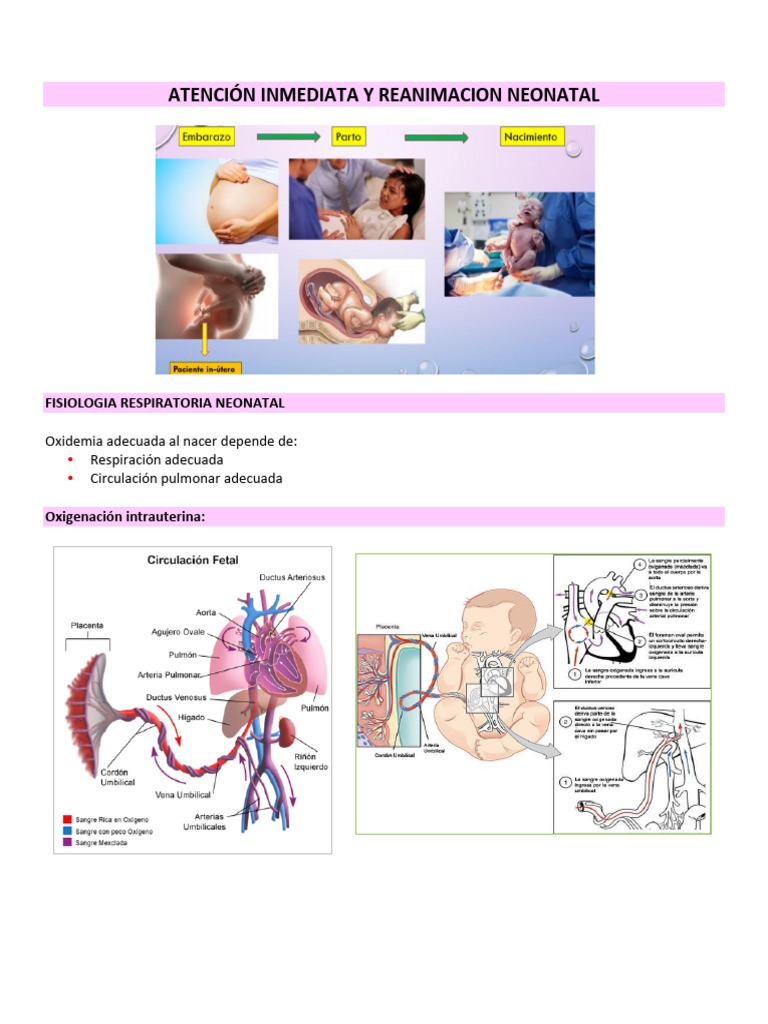 Integrado Depa 3 Ped + Gine | PDF | Resfriado comun | Reanimación cardiopulmonar