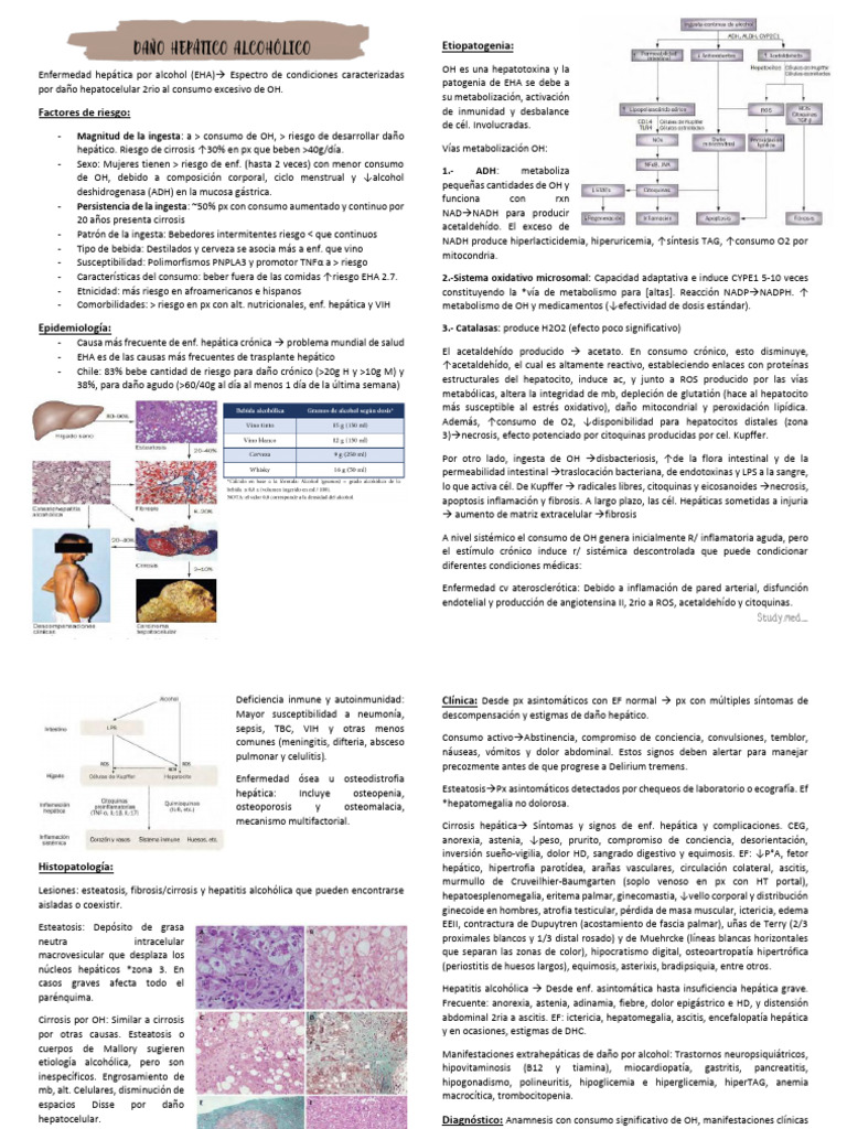 Daã o Hepã Tico Alcohã Lico y No Alcohã Lico | PDF | Cirrosis | Hepatitis