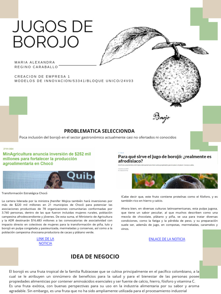Presentacion Del Borojo | PDF | Fruta | Calidad (comercial)