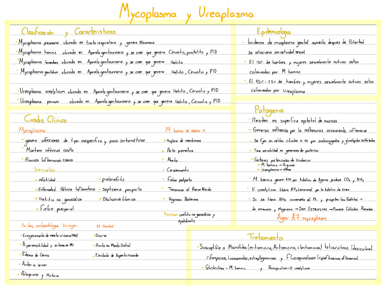 Mycoplasma y Ureaplasma | PDF