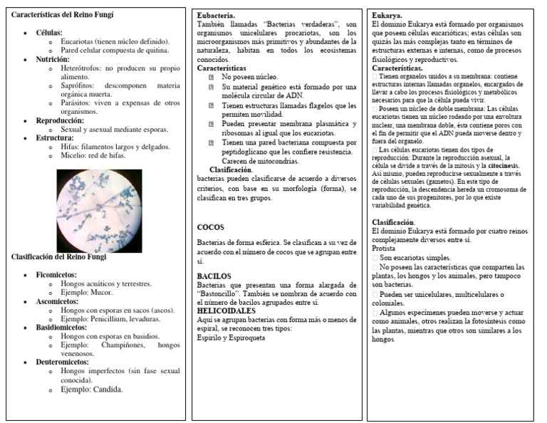 triptico bologia parte 1 | PDF | Eucariotas | Biología Celular)