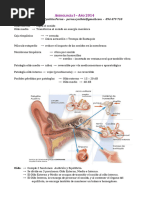 Anatomía de la Caja Timpánica | PDF | Oído | Sistema Auditorio