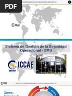 Modelo SHELL en Seguridad Aeronáutica | PDF