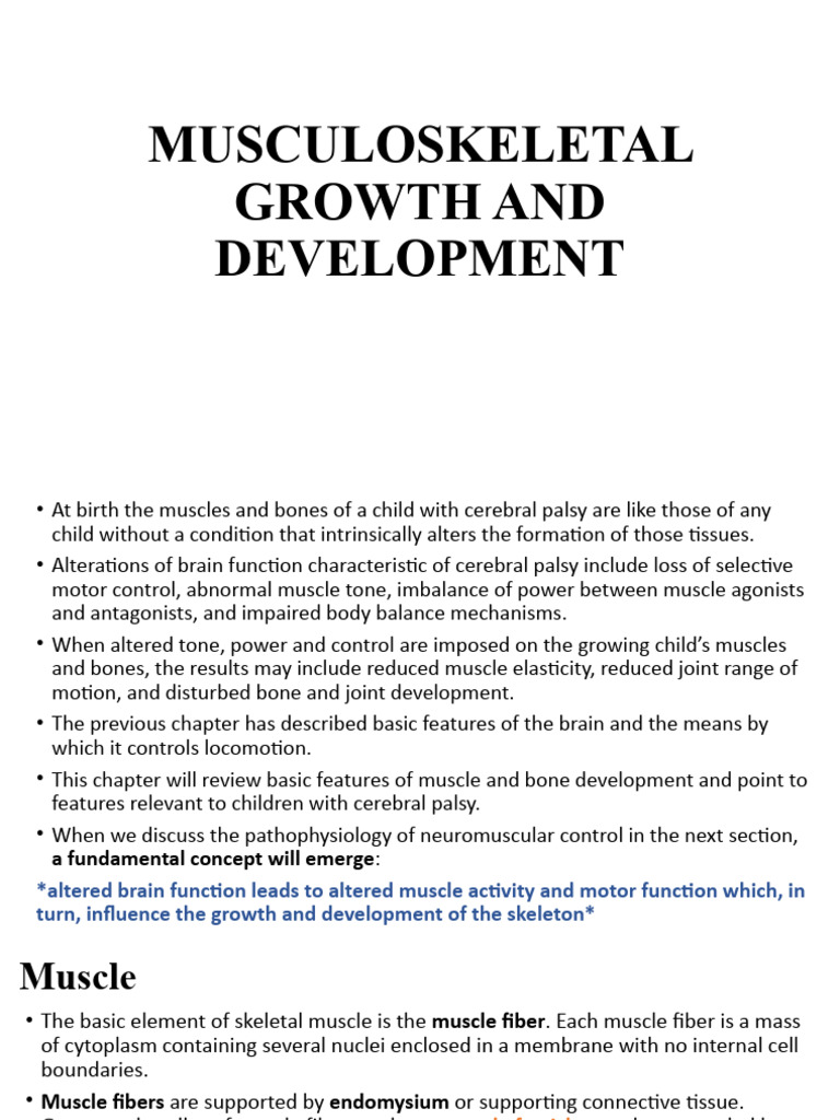 Musculoskeletal Growth and Development | PDF | Bone | Osteoblast