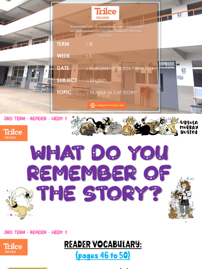 English Reading: A Cat Story | PDF