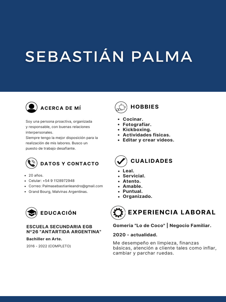 Curriculum Vitae - Sebastián Palma | PDF | Bienestar