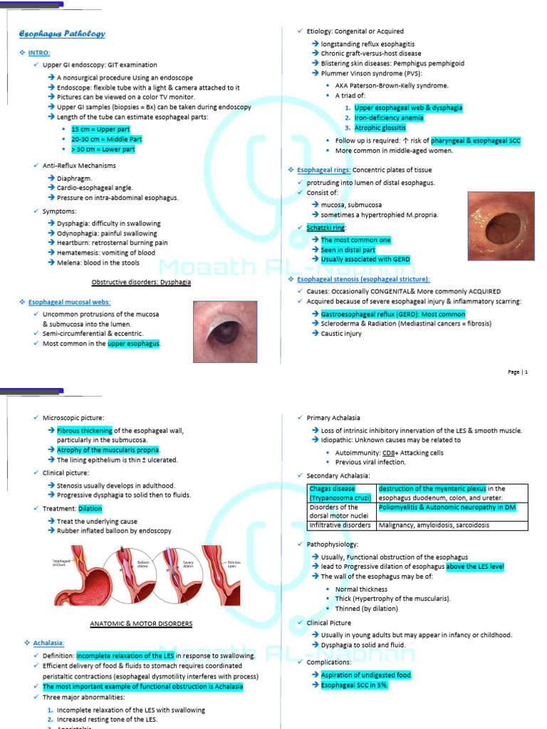 GI Pathology 2 | PDF | Esophagus | Gastroesophageal Reflux Disease