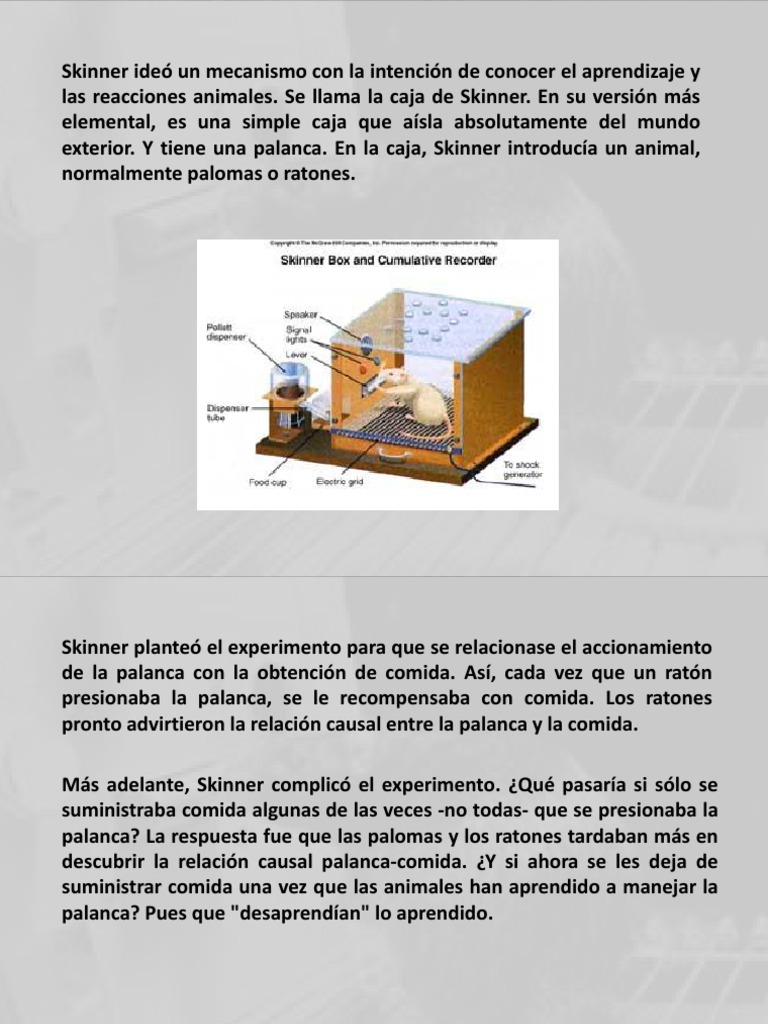 Pavlov Test | PDF | Ciencia cognitiva | Conceptos psicologicos